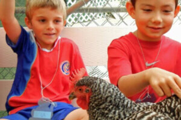 Summer Critter Camp | Helen Woodward Animal Center | Rancho Santa Fe ...