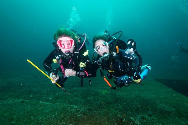 Harry's Dive Shop | InPlay.org