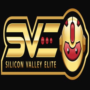 Silicon Valley Elite | InPlay.org